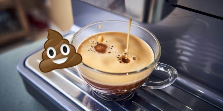 Why Does Coffee Make Me Poop? (A Mystery of Science)