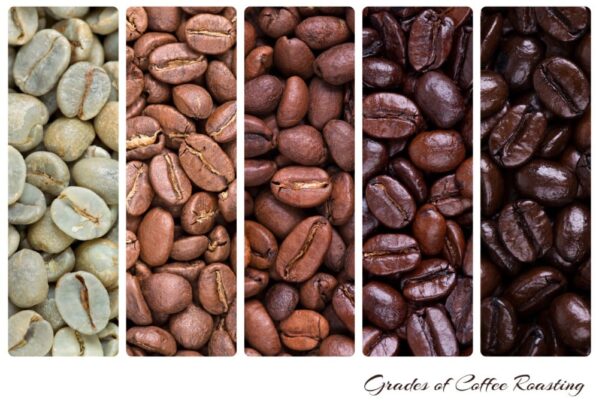 Espresso Beans Vs Coffee Beans - The Differences Explained